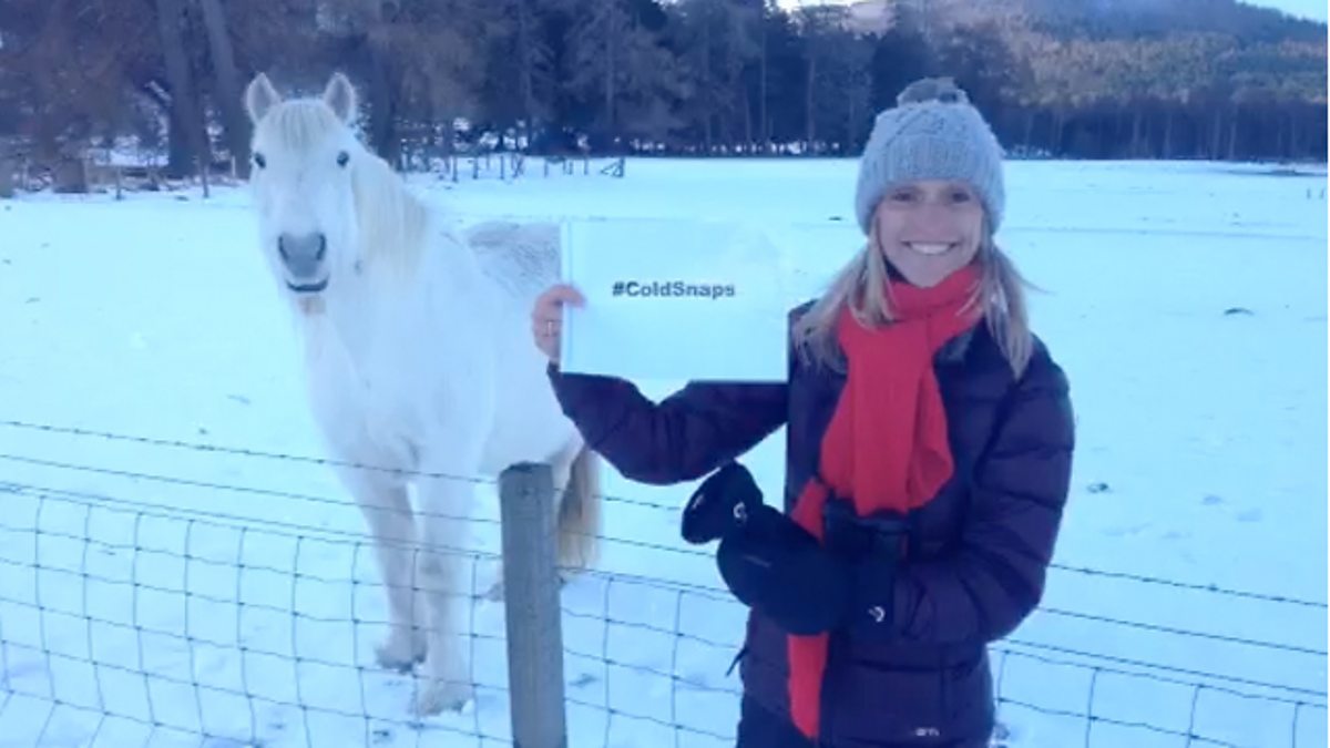 BBC Two - Winterwatch, Series 3, Michaela's Cold Snap