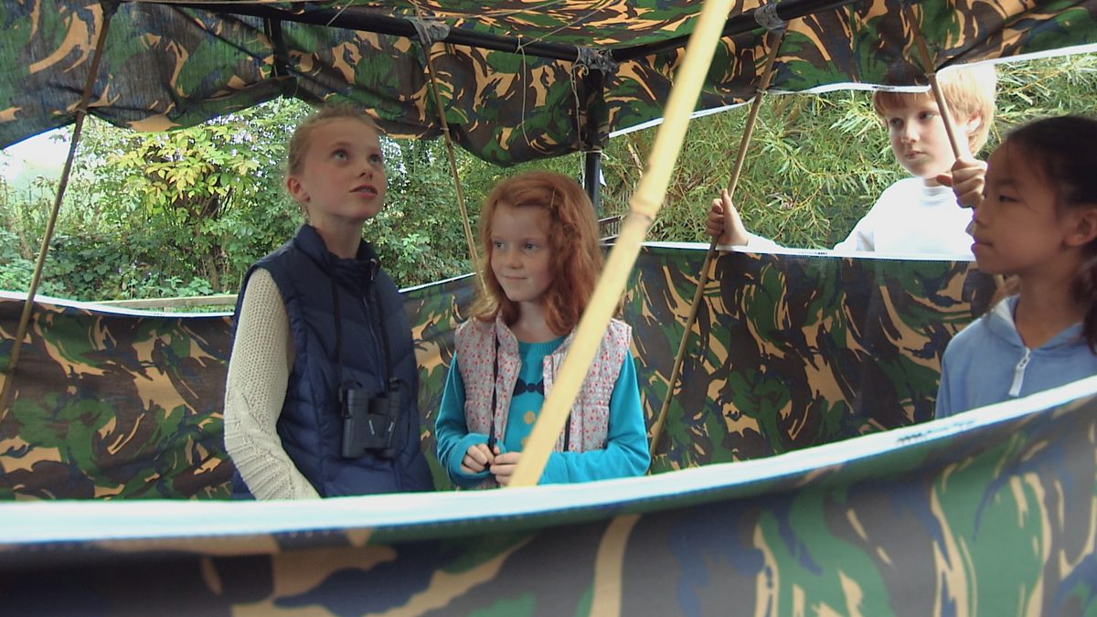 BBC Two - Design Challenge, How to design and make a portable bird hide ...