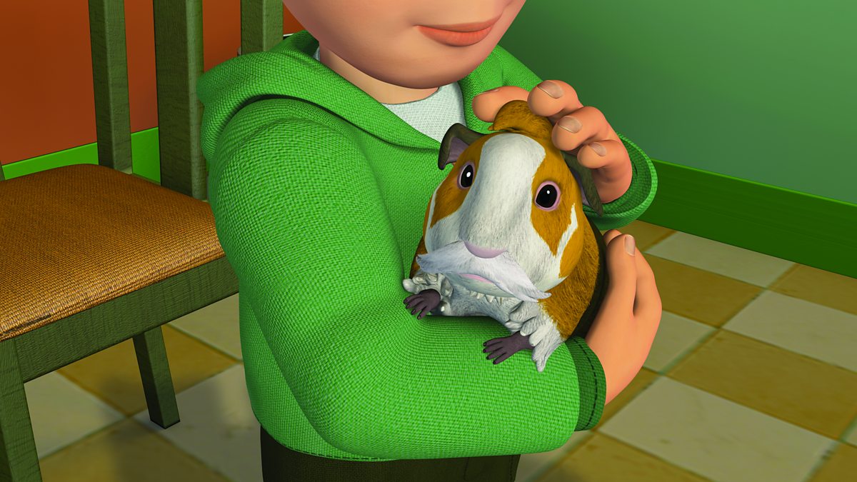 S4C - Sam Tân, Cyfres 7, Achub Mochyn Cwta