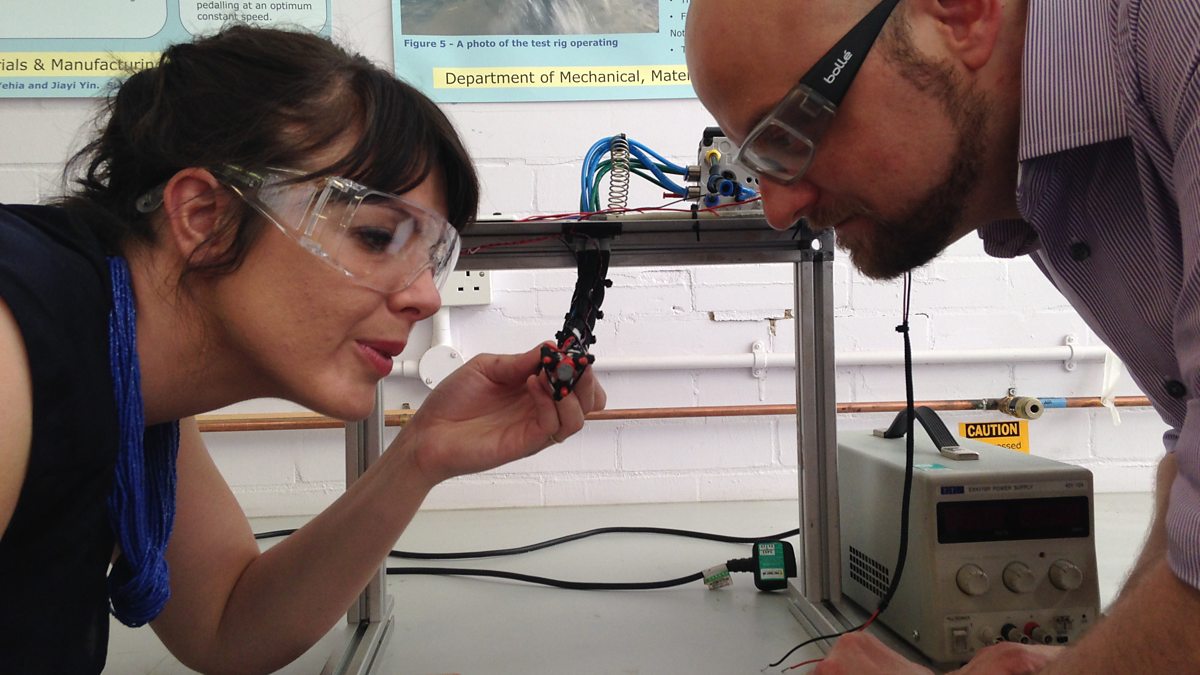 BBC Two - Biomimetics - Designed by Nature, An Introduction into ...