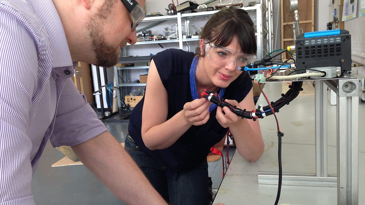 BBC Two - Biomimetics - Designed by Nature, The development of robot ...