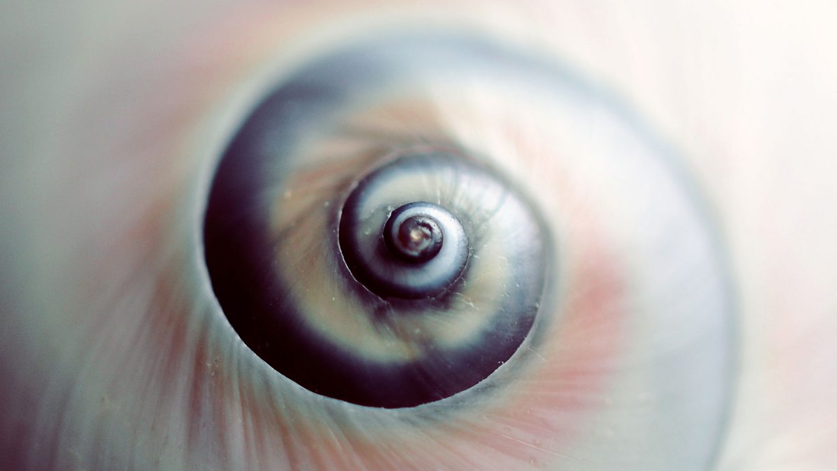 BBC Radio 4 - Thought for the Day, Rev Roy Jenkins - 14/06/2025