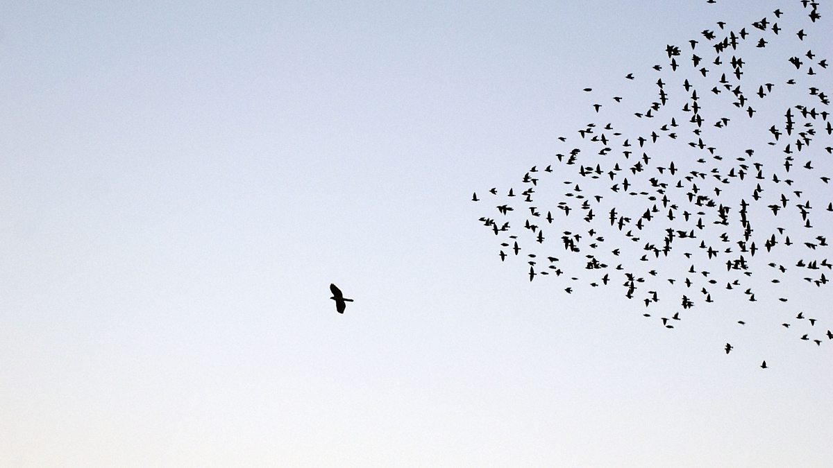 BBC Radio 4 - Thought for the Day, Professor Michael Hurley - 05/09/2024