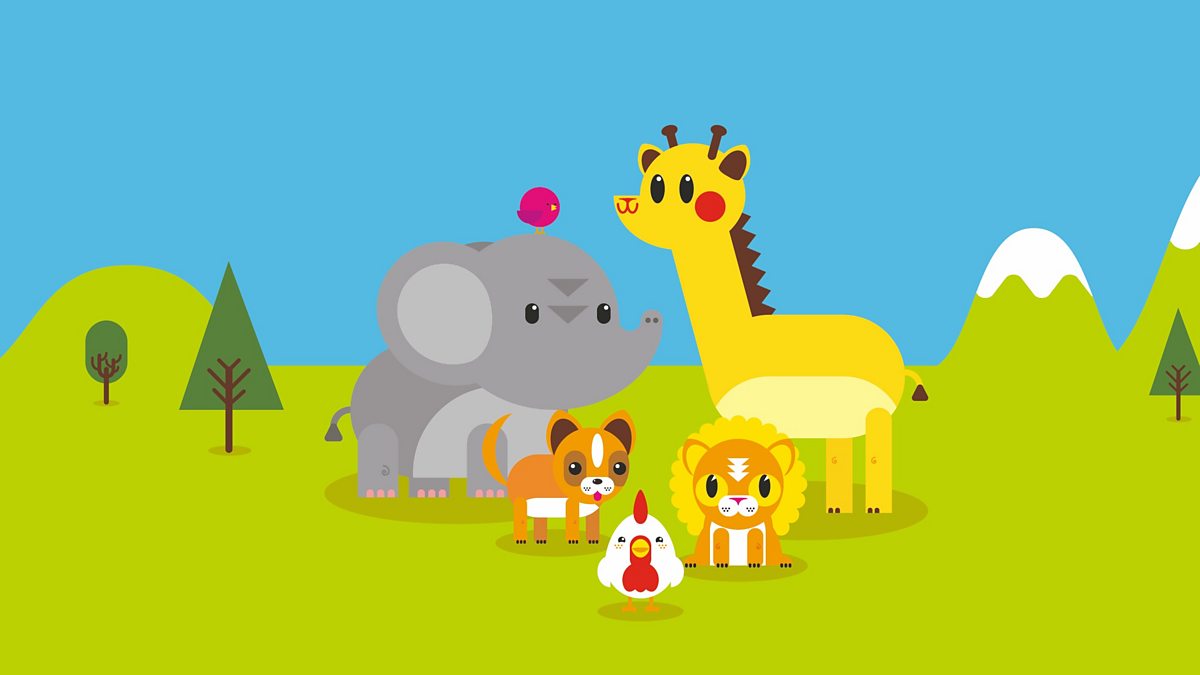 S4C - Penblwyddi Cyw, Sun, 11 Oct 2015