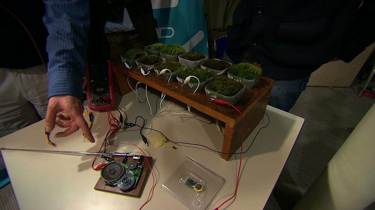 BBC Radio Cambridgeshire - Naked Scientists, Moss Radio