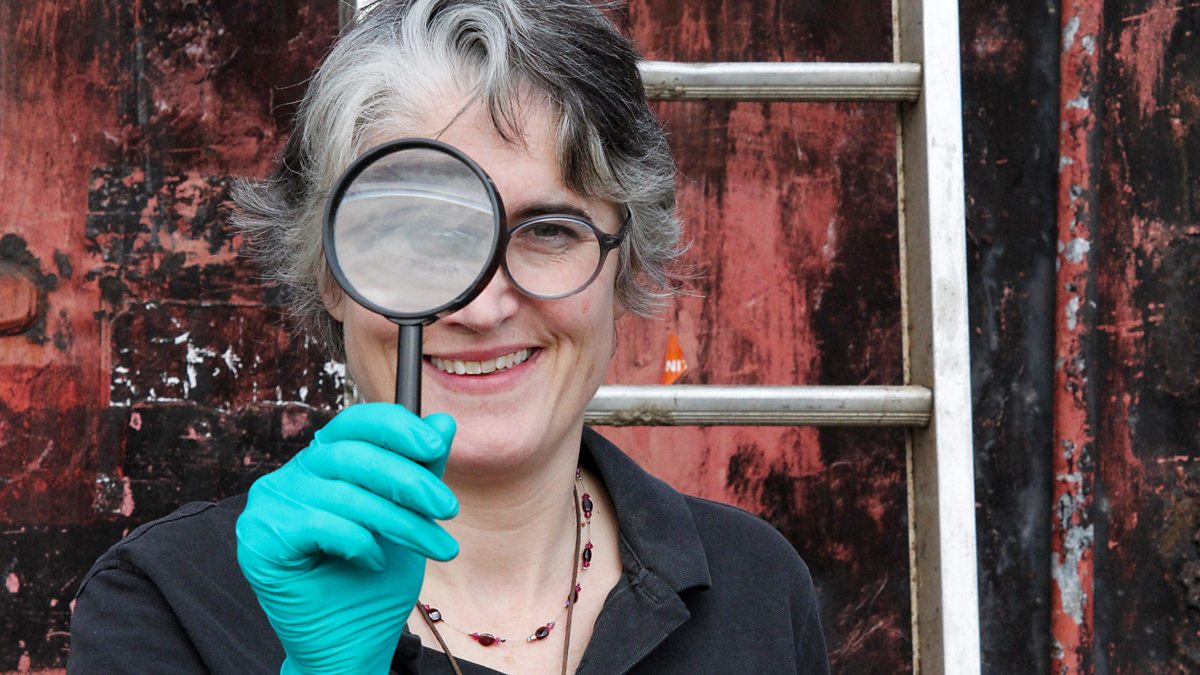 BBC Two - The Ladykillers: Pest Detectives