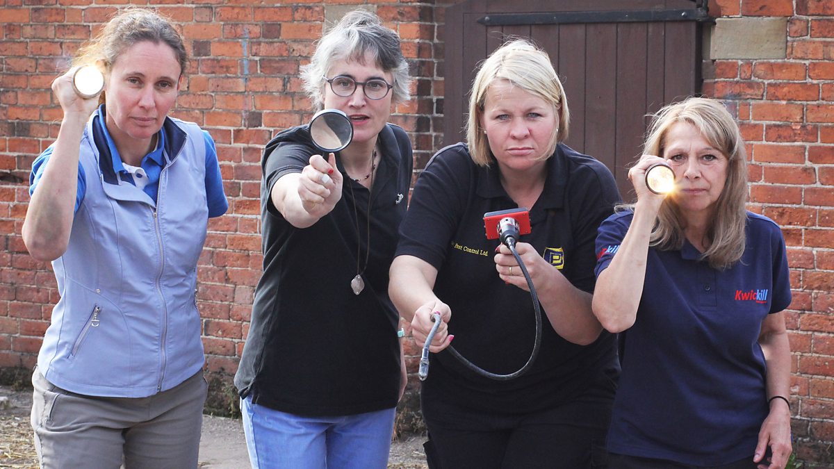 BBC Two - The Ladykillers: Pest Detectives, Trail: The Ladykillers