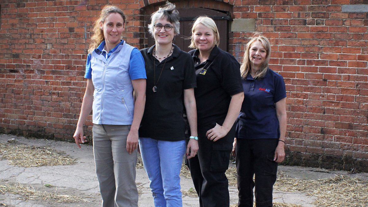 BBC Two - The Ladykillers: Pest Detectives - Meet the Ladykillers