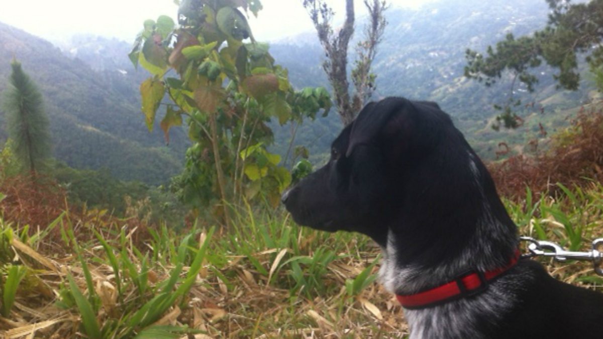 BBC World Service - From Our Own Correspondent, Rebuilding from the ...