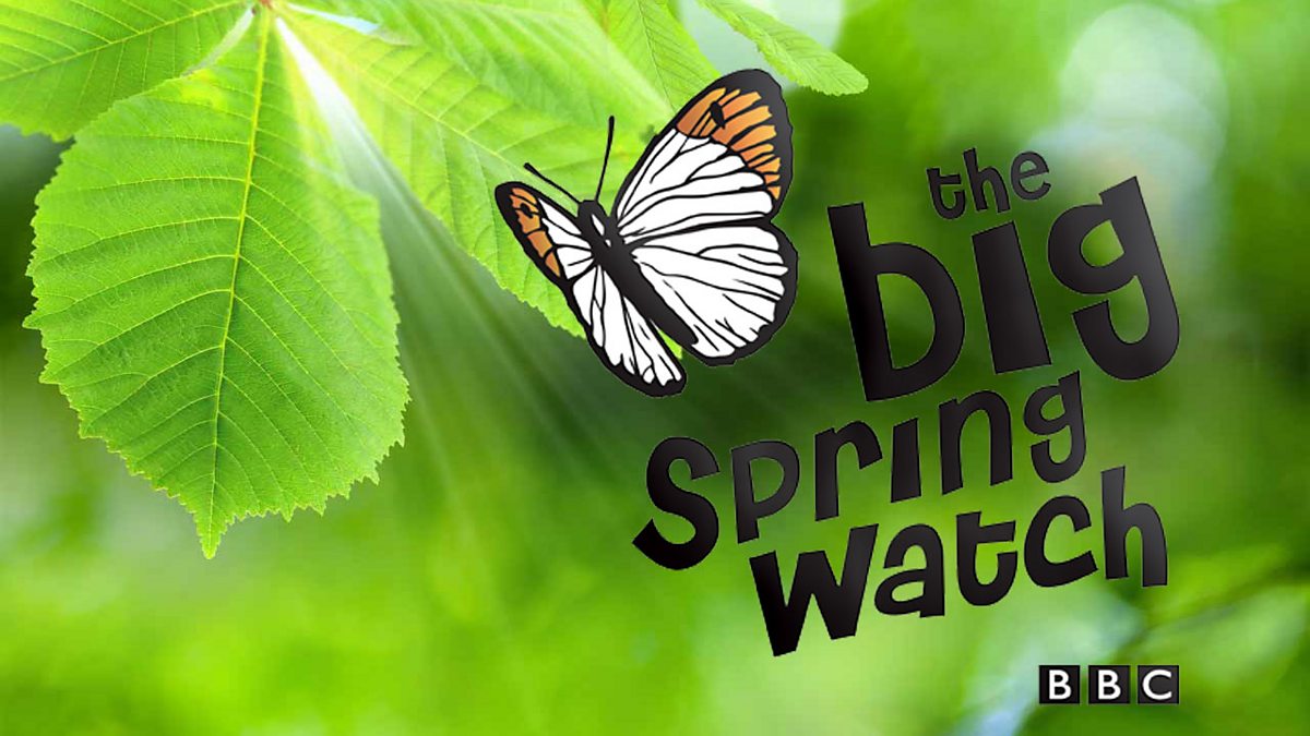 BBC Two - Springwatch - The Big Spring Watch guides