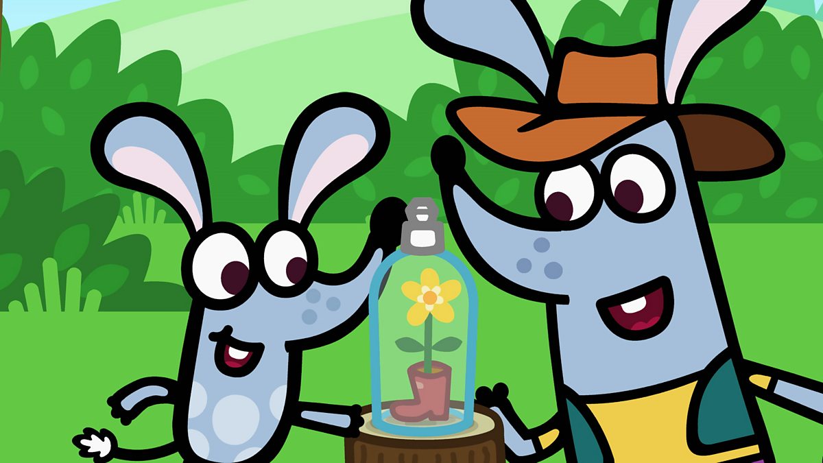 S4C - Boj, Cyfres 2014, Yn y Ty Twym