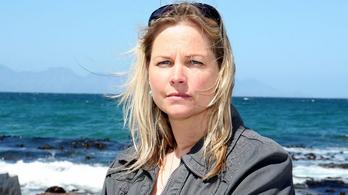 BBC One - Shark - Co-existing with sharks