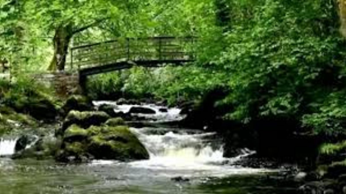 BBC Radio 5 Live - 5 Live In Short, Secrets of Irish waterfall video ...