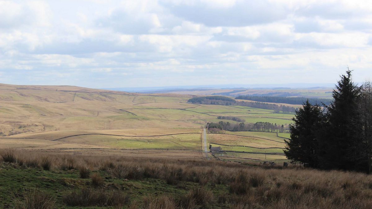 BBC Radio 4 - Open Country in Northumberland - Open Country, Landscape ...