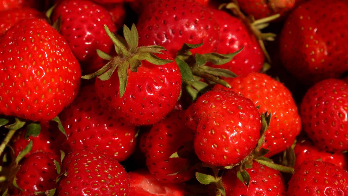 BBC Radio 4 - Radio 4 in Four - Eight flavours you never knew went with ...