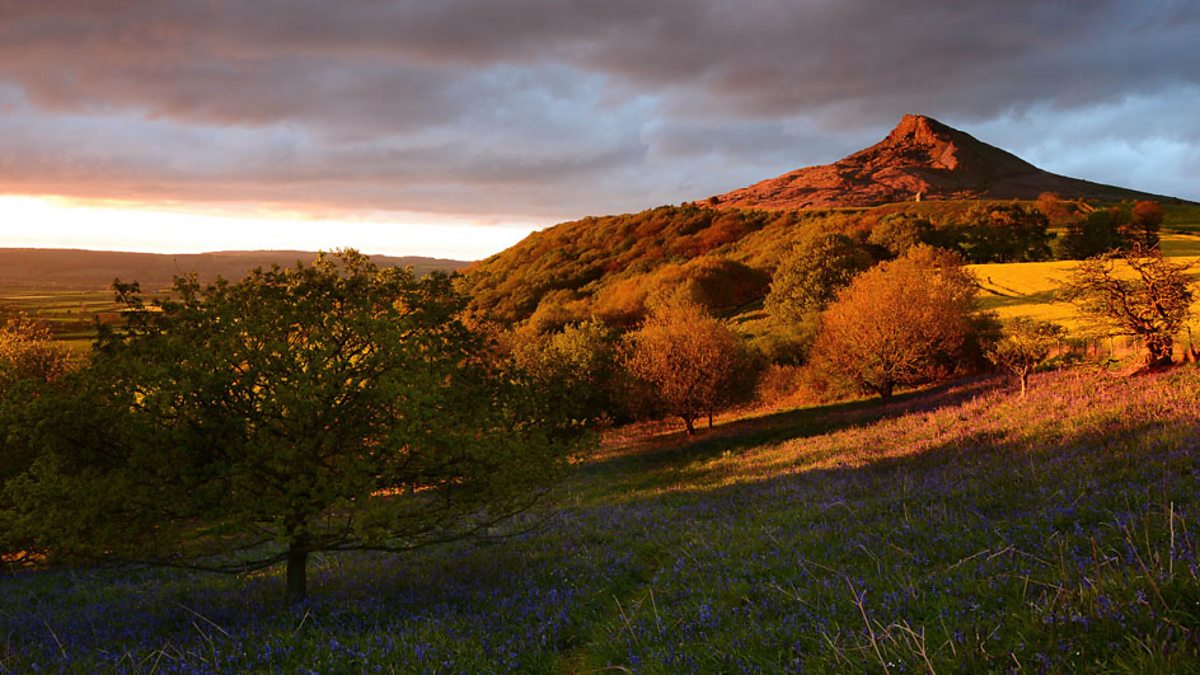 BBC - Bluebells under Roseberry Topping at sunset - North Yorkshire ...