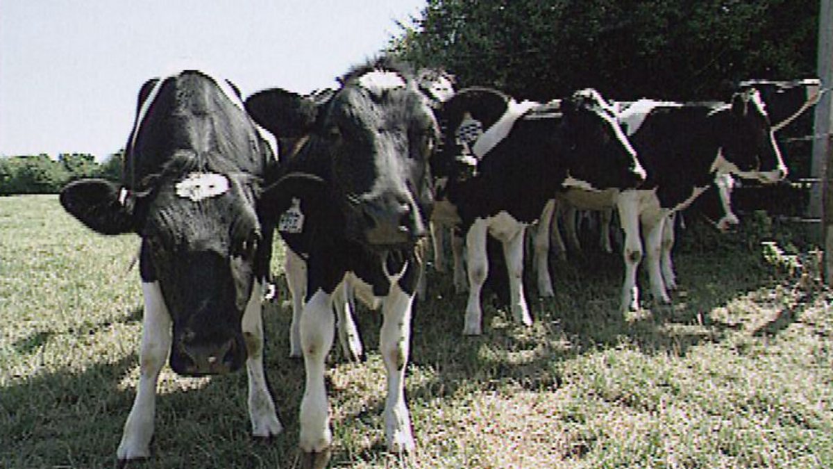 BBC Radio 5 Live - 5 Live In Short, 'Heavy' armed police response as ...