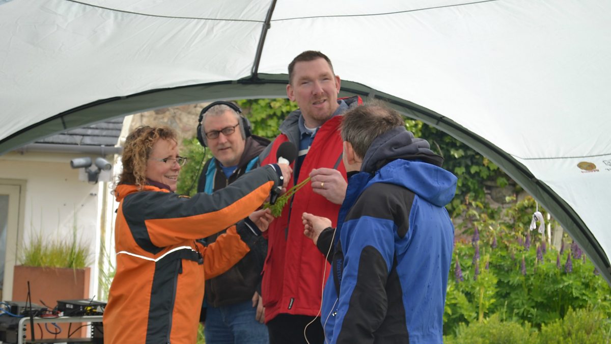 BBC Radio Scotland - The Kitchen Garden, 11/06/2015, Charlie Lockley ...