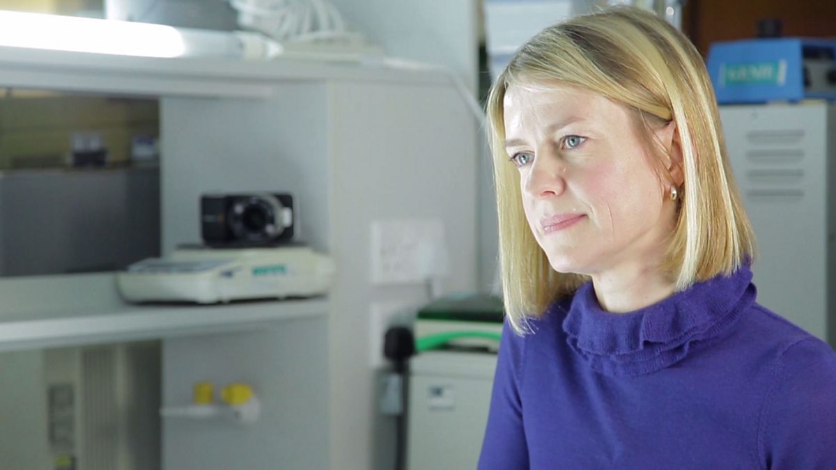 BBC - Learning, Sir Alec Jeffreys discusses the future of DNA profiling