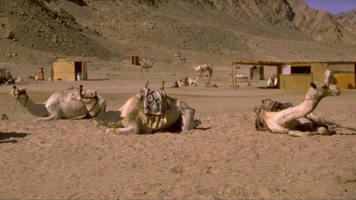 BBC World Service - The War That Changed the World, Jordan: Redrawing ...