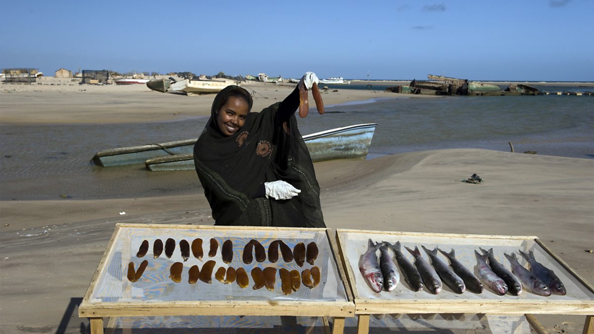 BBC Radio 4 - The Food Programme, The Ark of Taste: The world’s most ...