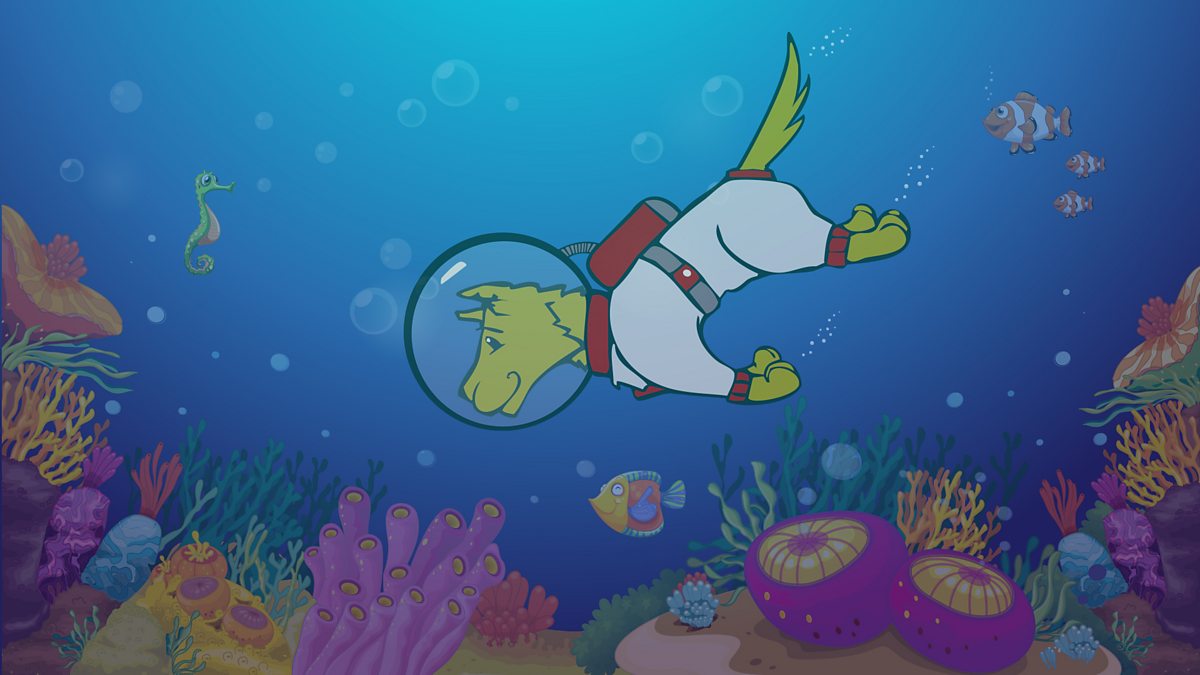 BBC Radio 4 - Radio 4 in Four, 'Barcode: A poem by a dog'