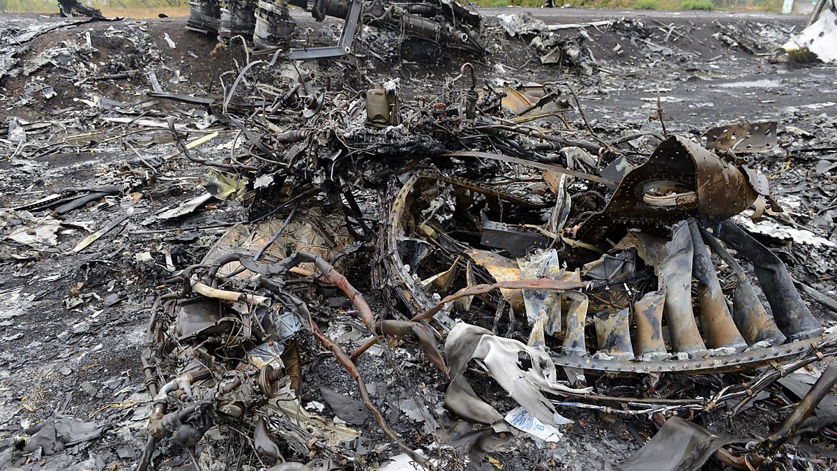 BBC World Service - Assignment, MH17 – A Sister’s Story, A sister, a ...