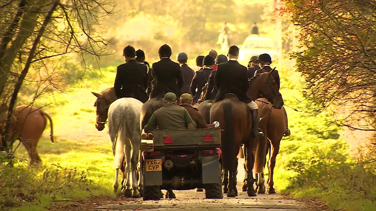 BBC Two - Victoria Derbyshire, 14/07/2015, Fox hunting: Is relaxation ...