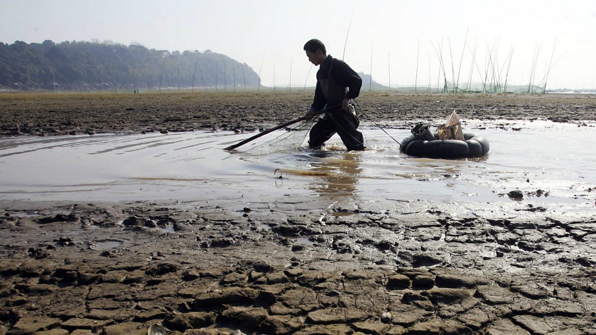BBC World Service - Newsday, Pollution in China's Hunan Province