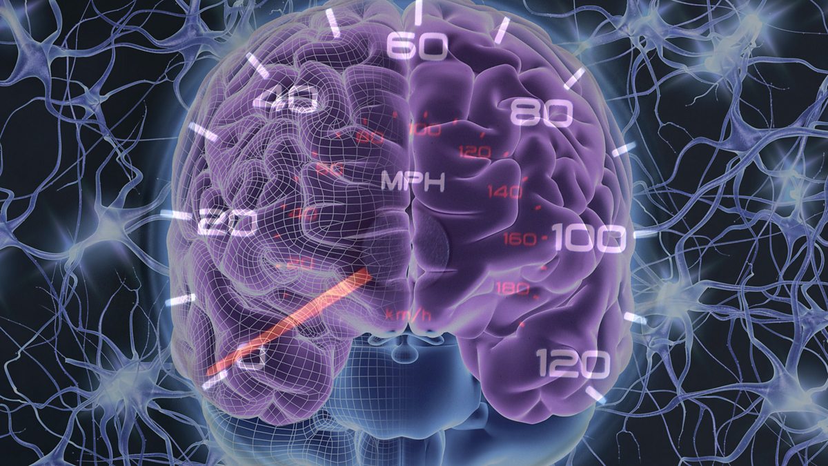 BBC World Service - Science In Action, Speed Cells in the Brain, How ...