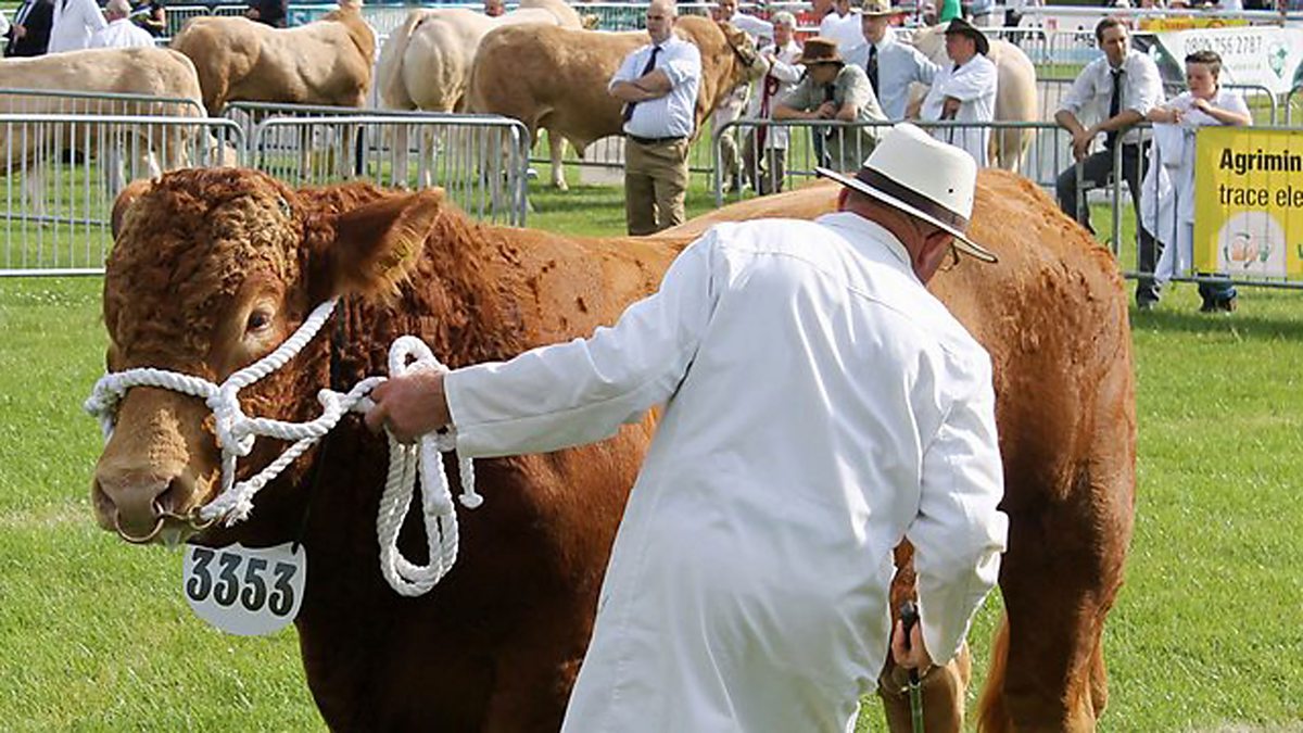 BBC Radio Cymru - Bwletin Amaeth, Edrych nôl ar ddiwrnod mawr y ...
