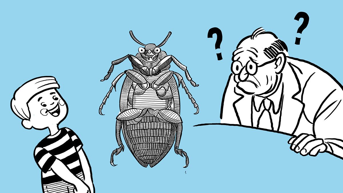 BBC Radio 4 - A History of Ideas, Physicist Tara Shears on Falsification