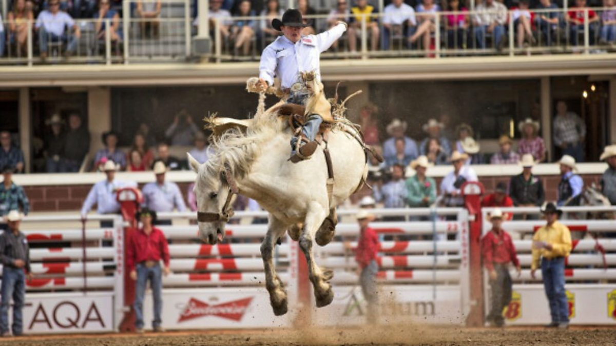 BBC World Service - Not by the Playbook, Howdy Cowboy!