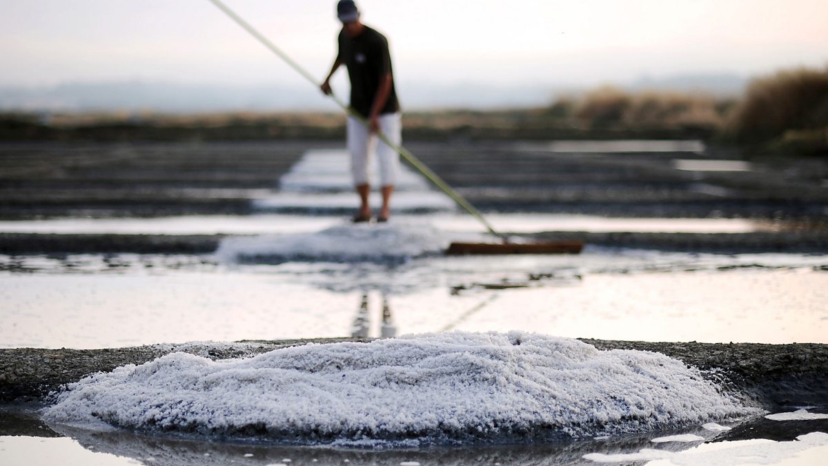 BBC World Service - The Documentary, Salt, 22/07/2015 GMT