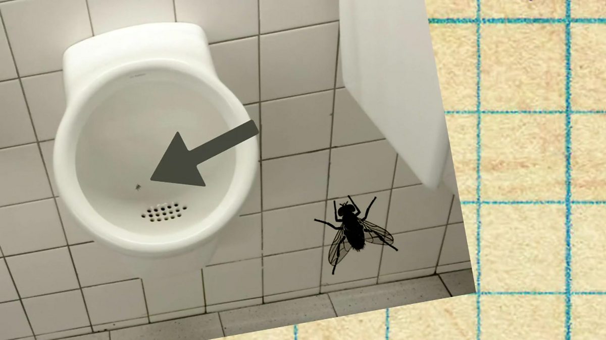 BBC Two - Victoria Derbyshire, 22/07/2015, How fake fly 'nudge ...