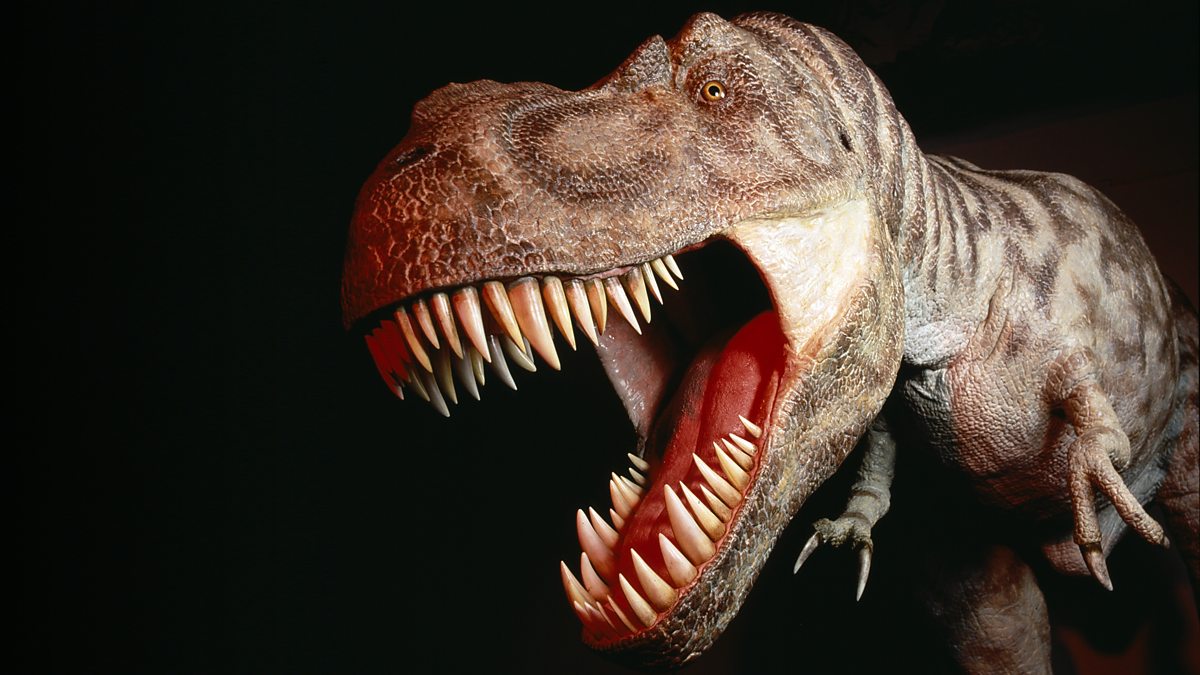 BBC Radio 4 - Natural Histories, Dinosaurs - Factosaurus: 12 facts ... BBC Radio 4 - Natural Histories, Dinosaurs - Factosaurus: 12 facts ...