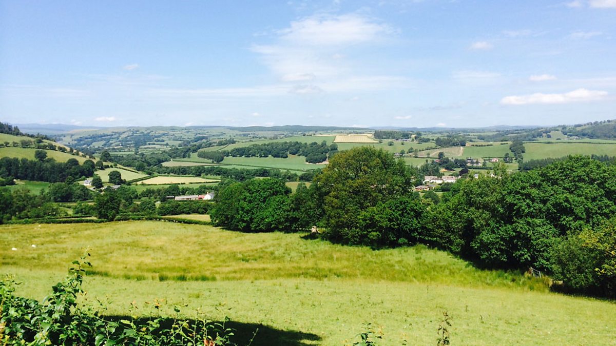 BBC Radio Cymru - Yn Ôl i Feifod!, Yn Ôl i Feifod - Alwyn Hughes