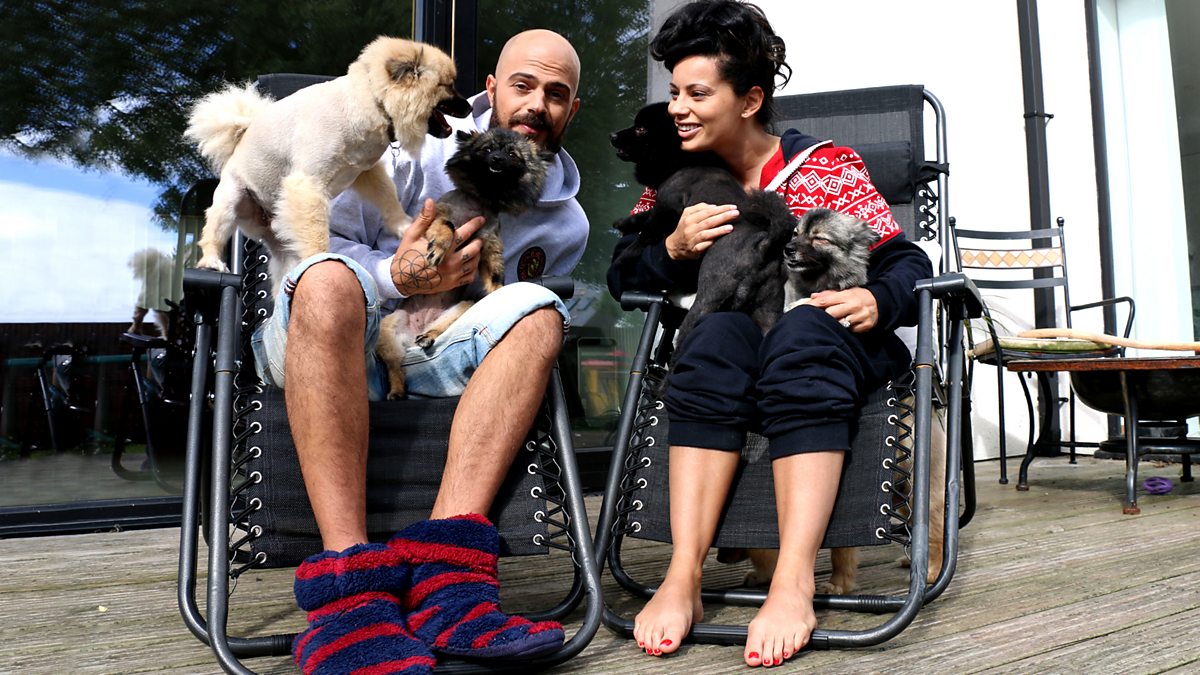 BBC Two - Country Strife: Abz on the Farm, Series 1