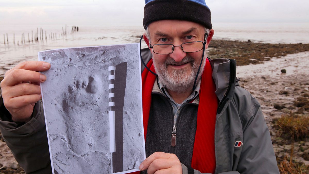 BBC Two - Horizon, 2014-2015, First Britons