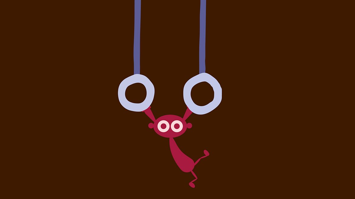 CBeebies - Dipdap, Sports