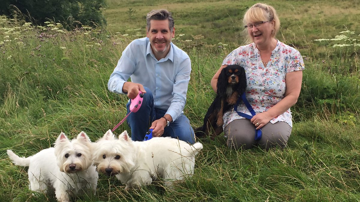 BBC Radio 5 Live - 5 Live In Short, What makes Tony Livesey happy?