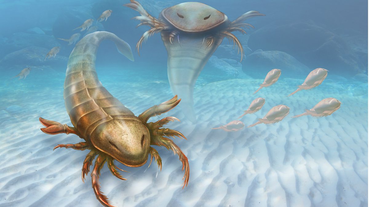 BBC World Service - Newsday, Giant scorpion that ruled the seas