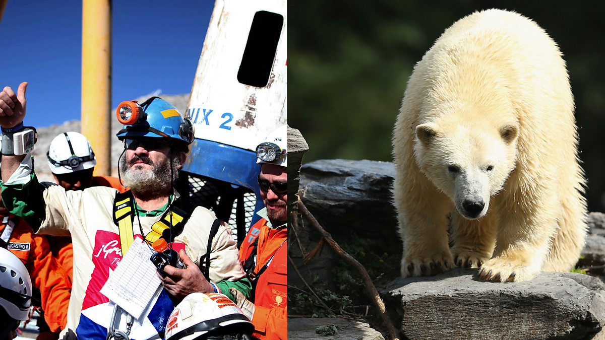 BBC World Service - Outlook, Outlook Weekend: Pick of the Week