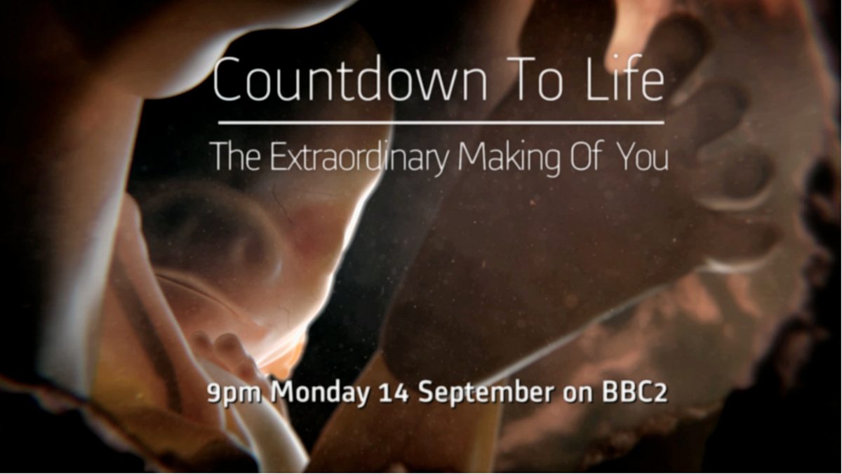 BBC Two - Countdown to Life: The Extraordinary Making of You, Trail ...