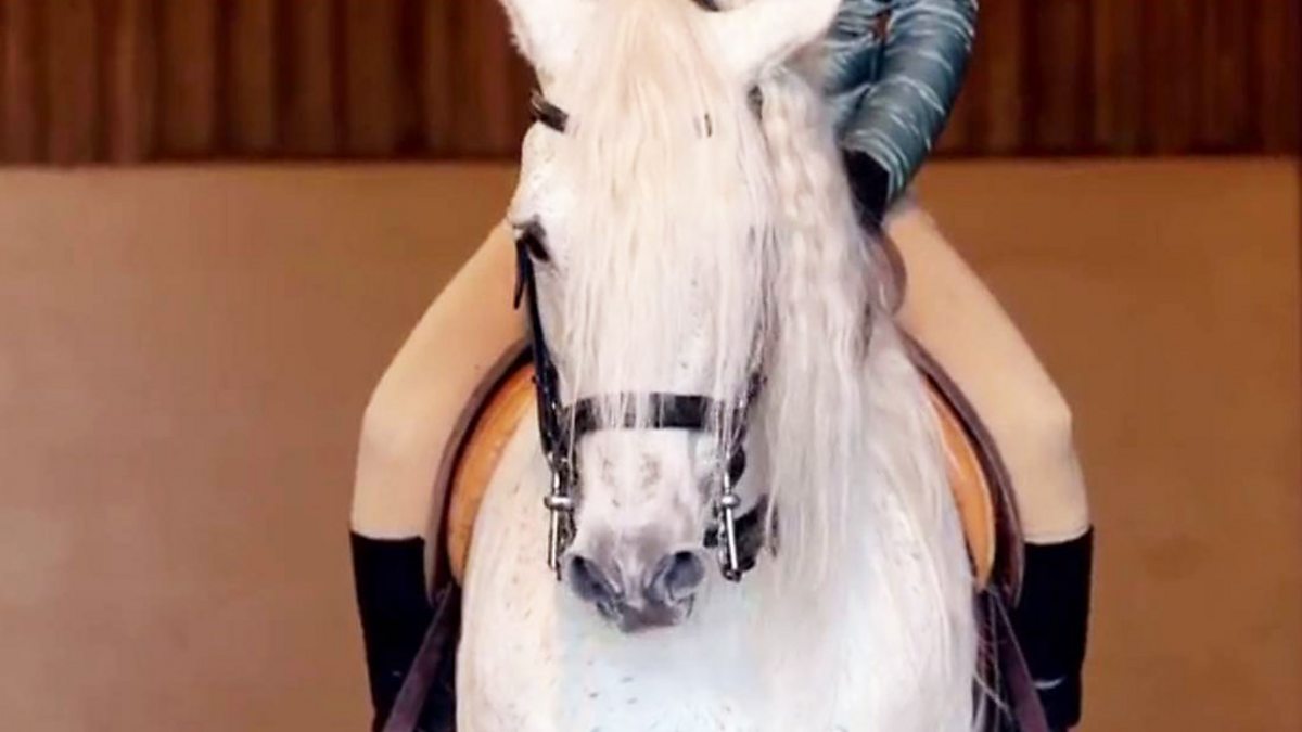 BBC Four - Lucy Worsley's Reins of Power: The Art of Horse Dancing ...