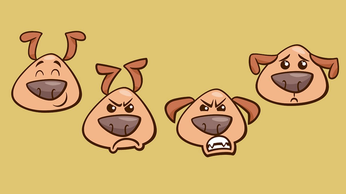 School Radio - Something to Think About, Autumn 2015, The dog and his ...