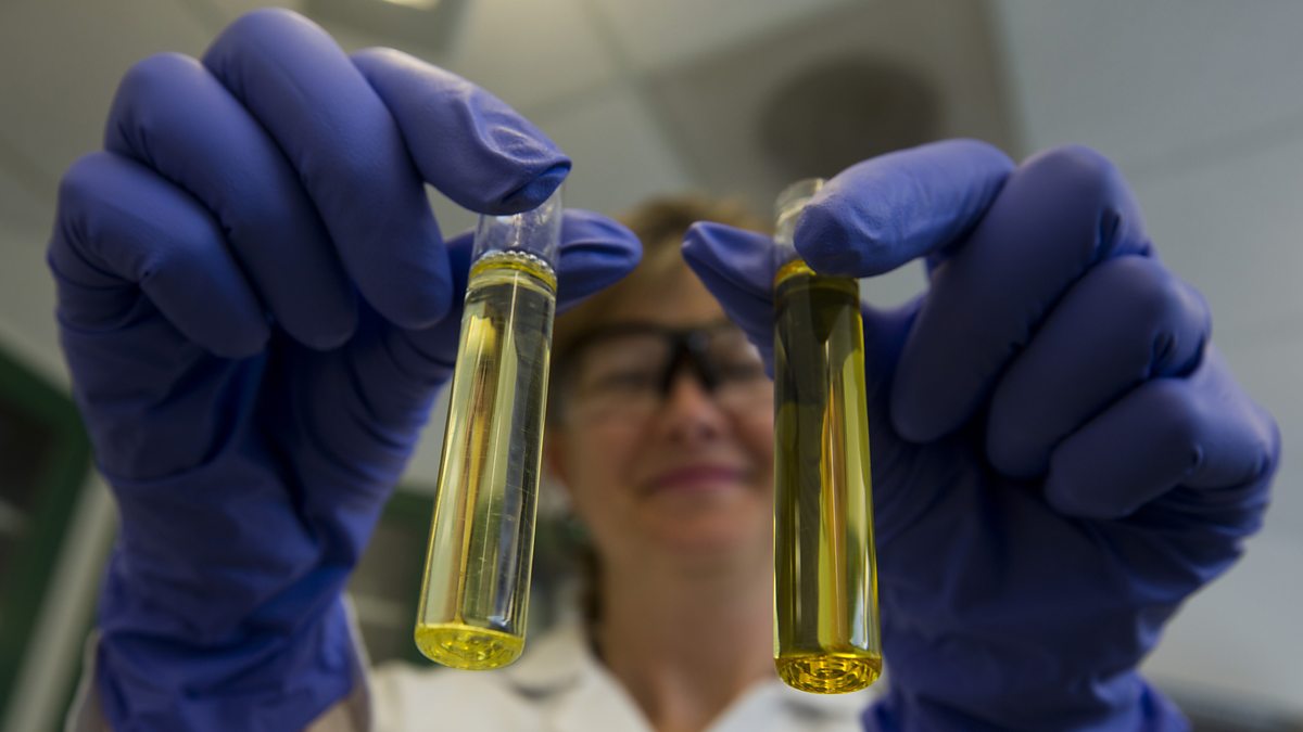 BBC World Service - A Question of Science, Animal Testing - The Future