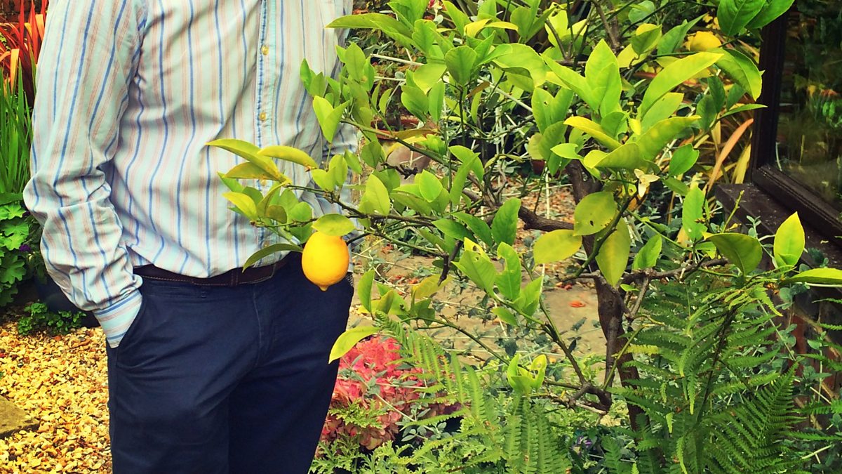 BBC Radio Solent - The Kitchen Garden, Autumn Trees, Over-Wintering ...