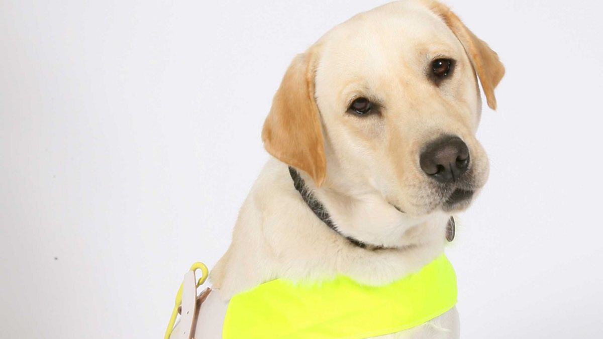 BBC - BBC Northern Ireland Broadcast Appeals, Ian Baxter-Crawford talks ...