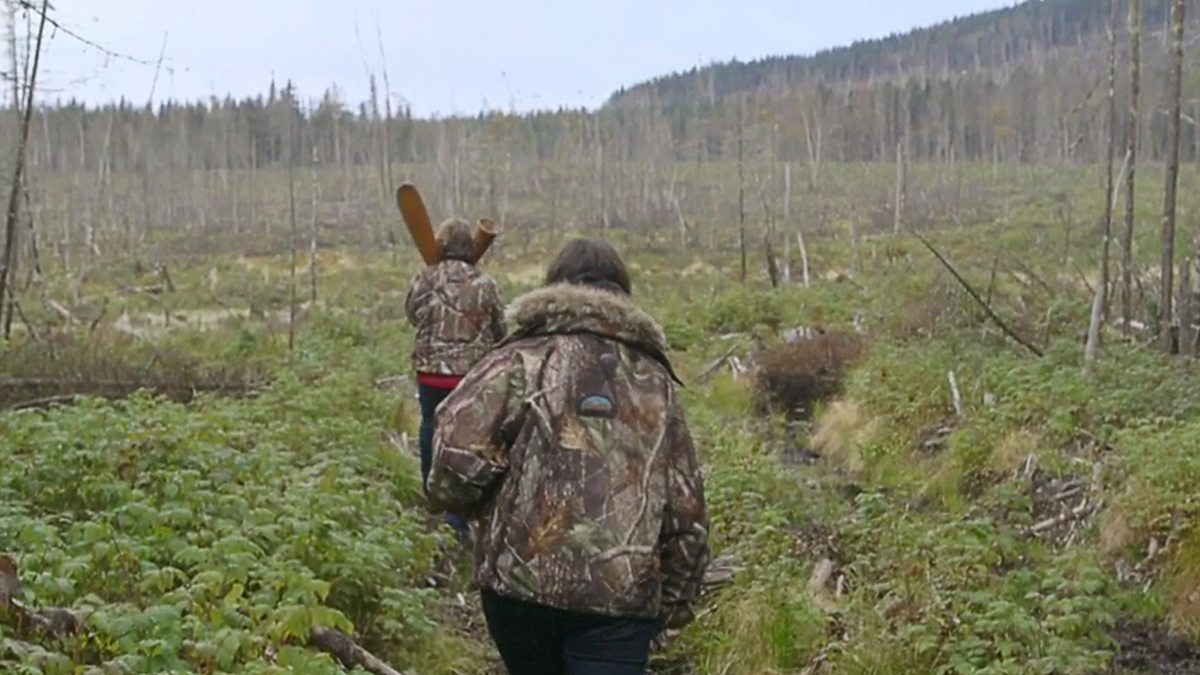 BBC News - The Travel Show, 10/10/2015 GMT